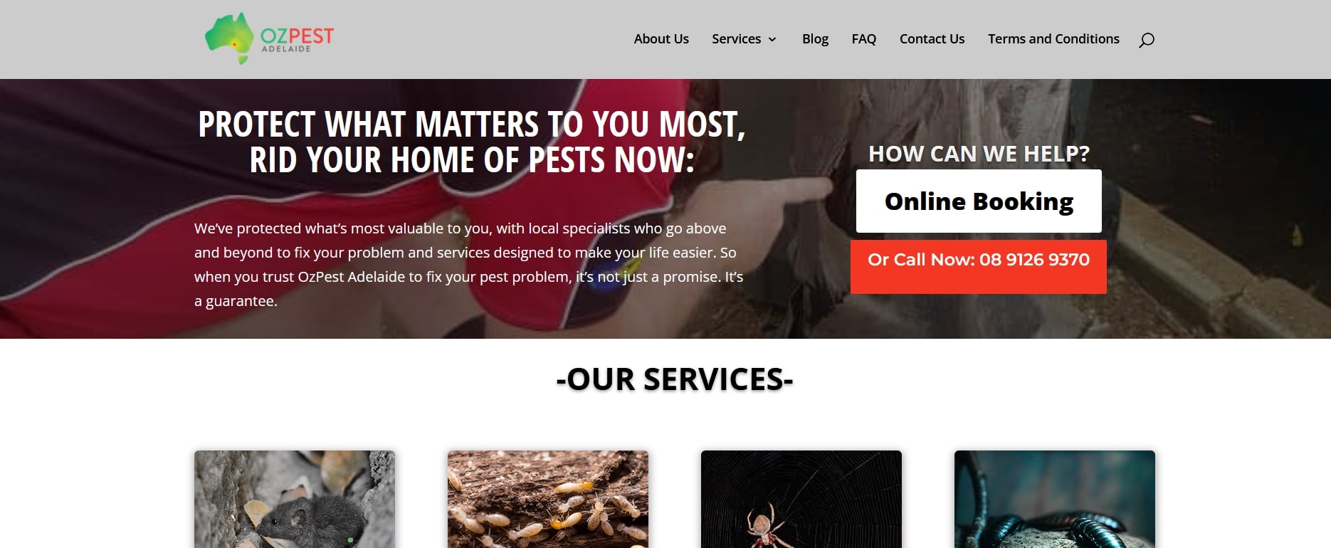 The 5 Best Rodent Control Companies in Adelaide [2026 ]