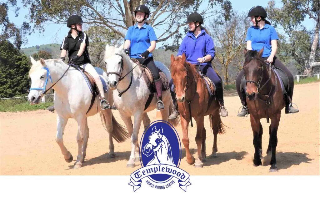The 6 Best Horse Riding Lessons near Adelaide [2026 ]