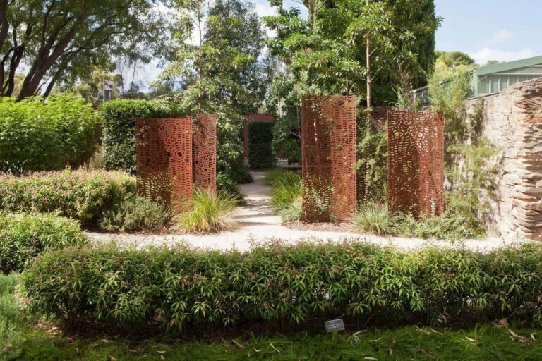 Things to Do in the Adelaide Botanic Garden [2025]