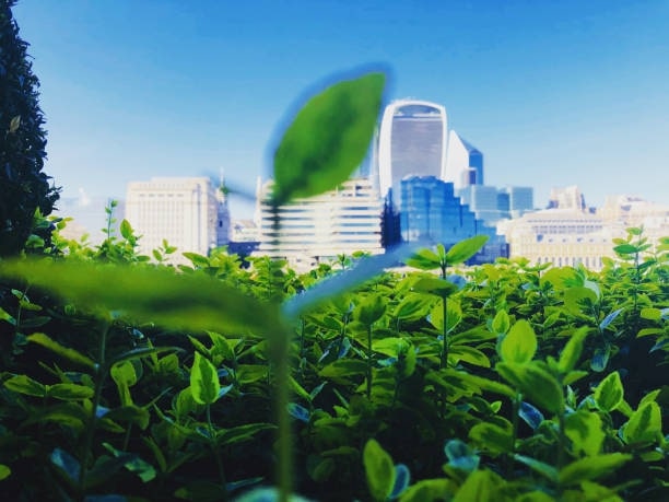 Is Adelaide a green and sustainable city? [2025]