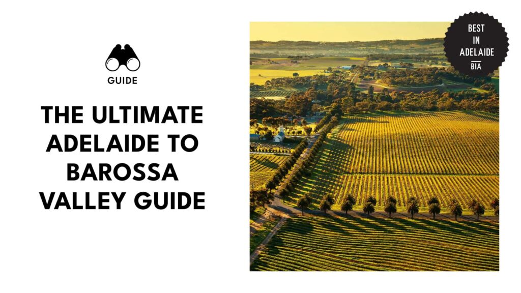 Barossa Bonanza: An Awesome Adelaide to Barossa Valley Guide [2025]