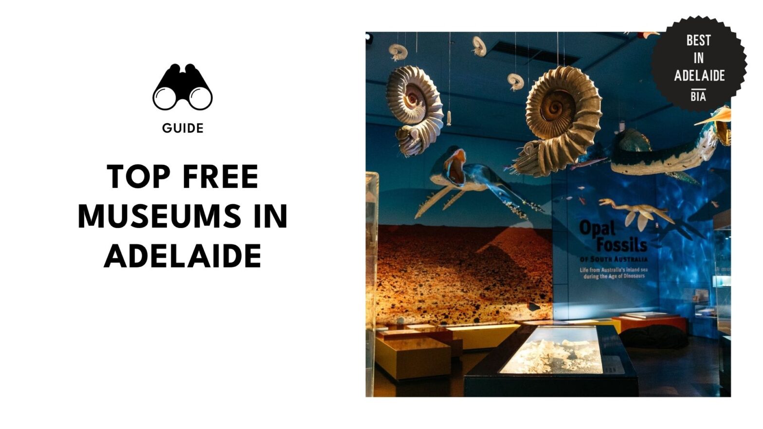 The 10 Absolute Must-see Museums in Adelaide [2025]