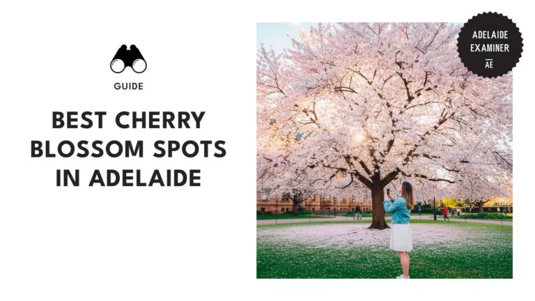 The 8 Best Breweries to Chill in Adelaide [2026 ]